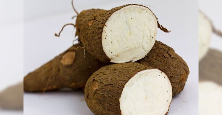 ¡ALIMENTO PROHIBIDO! Efectivo del Ejército muere tras consumir yuca ...