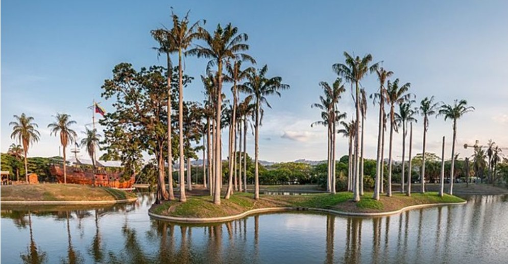 ¡INMINENTE PELIGRO! Denuncian invasión de roedores en área de fauna del ...