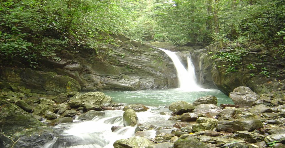 ¡UN DÍA COMO HOY! Día de la Virgen de Guadalupe || Día de la ...