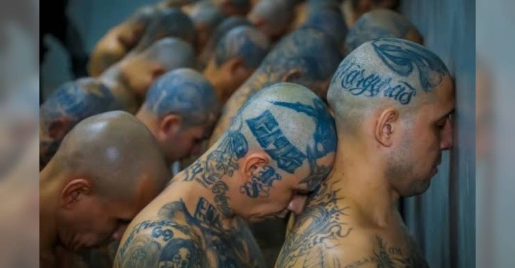 ¡QUEDÓ DOCUMENTADO EN VIDEOS! Trasladan a 2.000 pandilleros de El ... ¡QUEDÓ DOCUMENTADO EN VIDEOS! Trasladan a 2.000 pandilleros de El ...