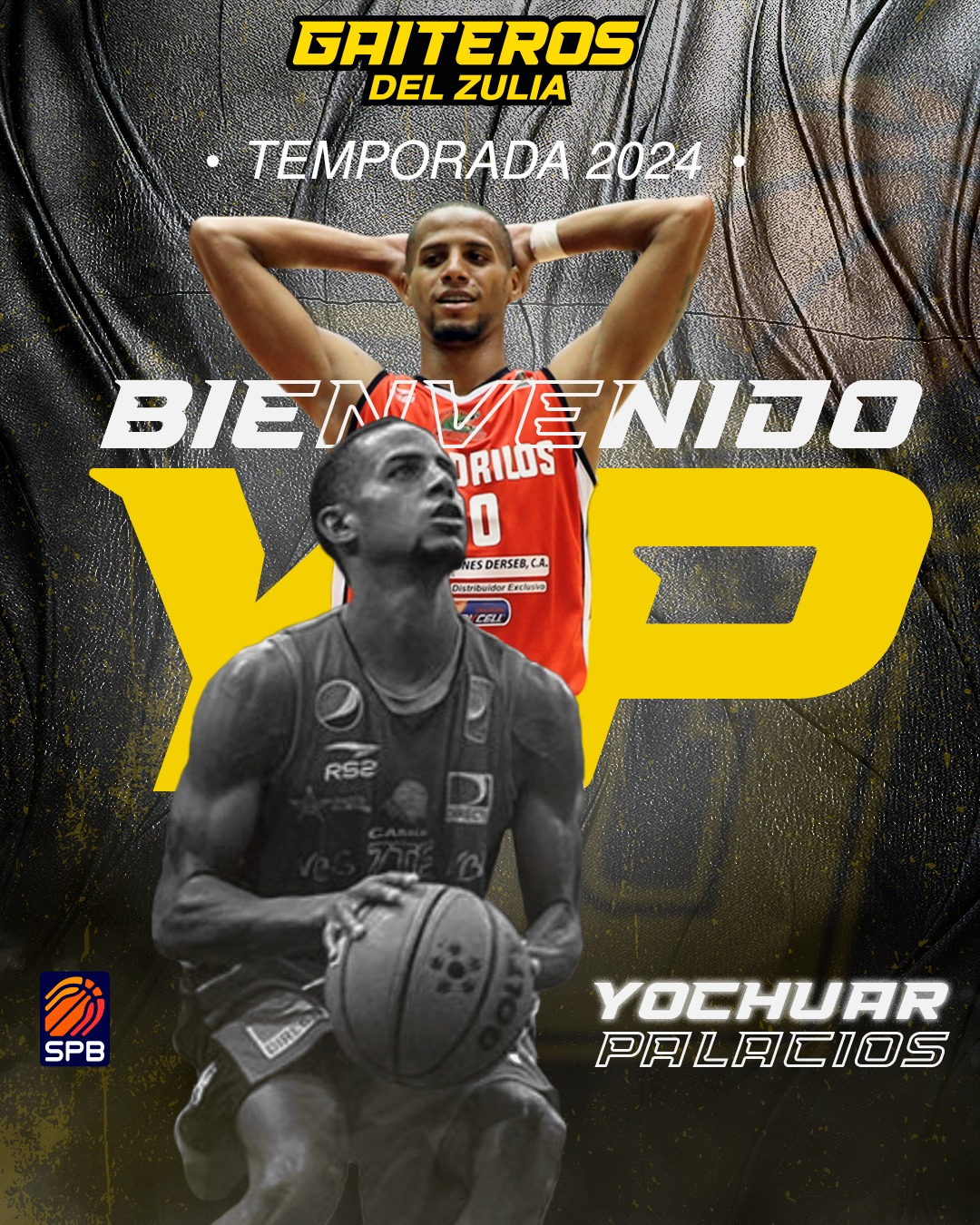 ¡SE CONFECCIONA EL EQUIPO! Yochuar Palacios se une a Gaiteros en la SPB 2024 - Noticia al Minuto