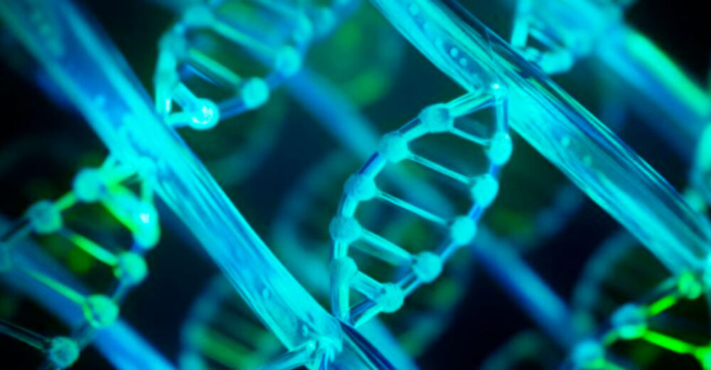 ¡HALLAZGO QUE VALIÓ EL PREMIO NOBEL DE MEDICINA! ¿Qué es el microARN ...