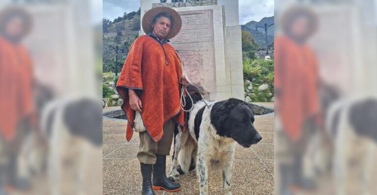 ¡CONCIENCIA SOBRE EL PERRO VENEZOLANO! «Nevado va a la escuela», el ...