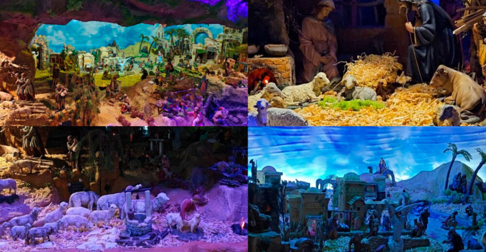 ¡SÍMBOLO DE HUMILDAD Y SENCILLEZ! Hogar Clínica San Rafael rescató su ...