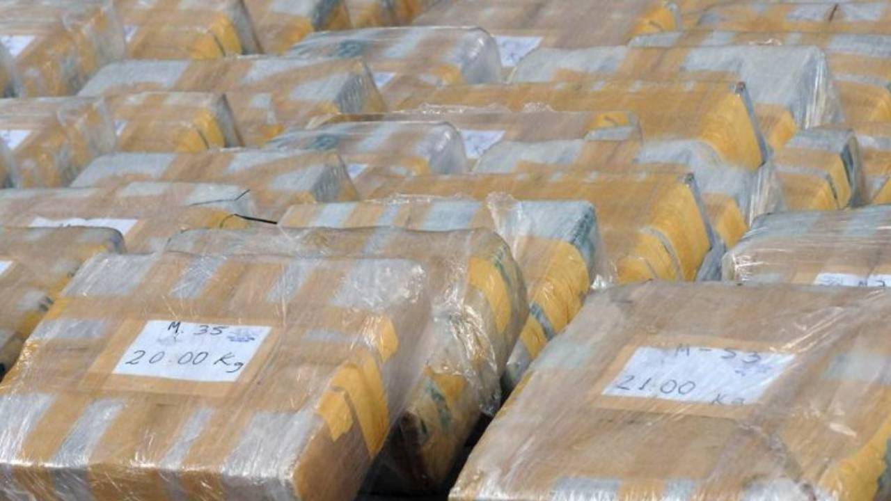¡OPERATIVO EXITOSO! Incautan más de 280 kilos de presunta droga en ...