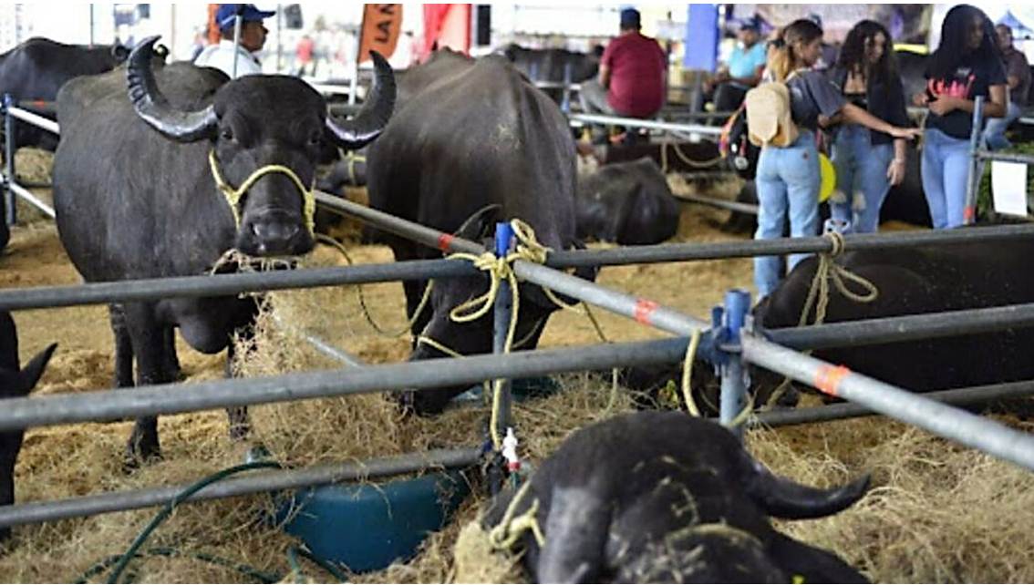 ¡BUSCA INCREMENTAR LA EXPORTACIÓN! Valoran positivamente al sector ...