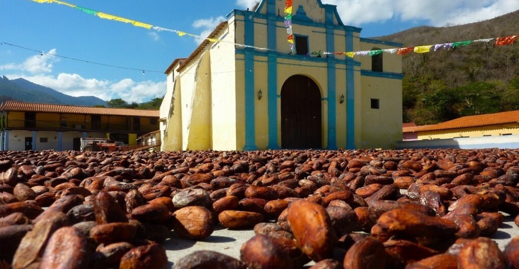 ¡SABOR DE EXCELENCIA! Cacao de Chuao se alzó con el segundo lugar en ...