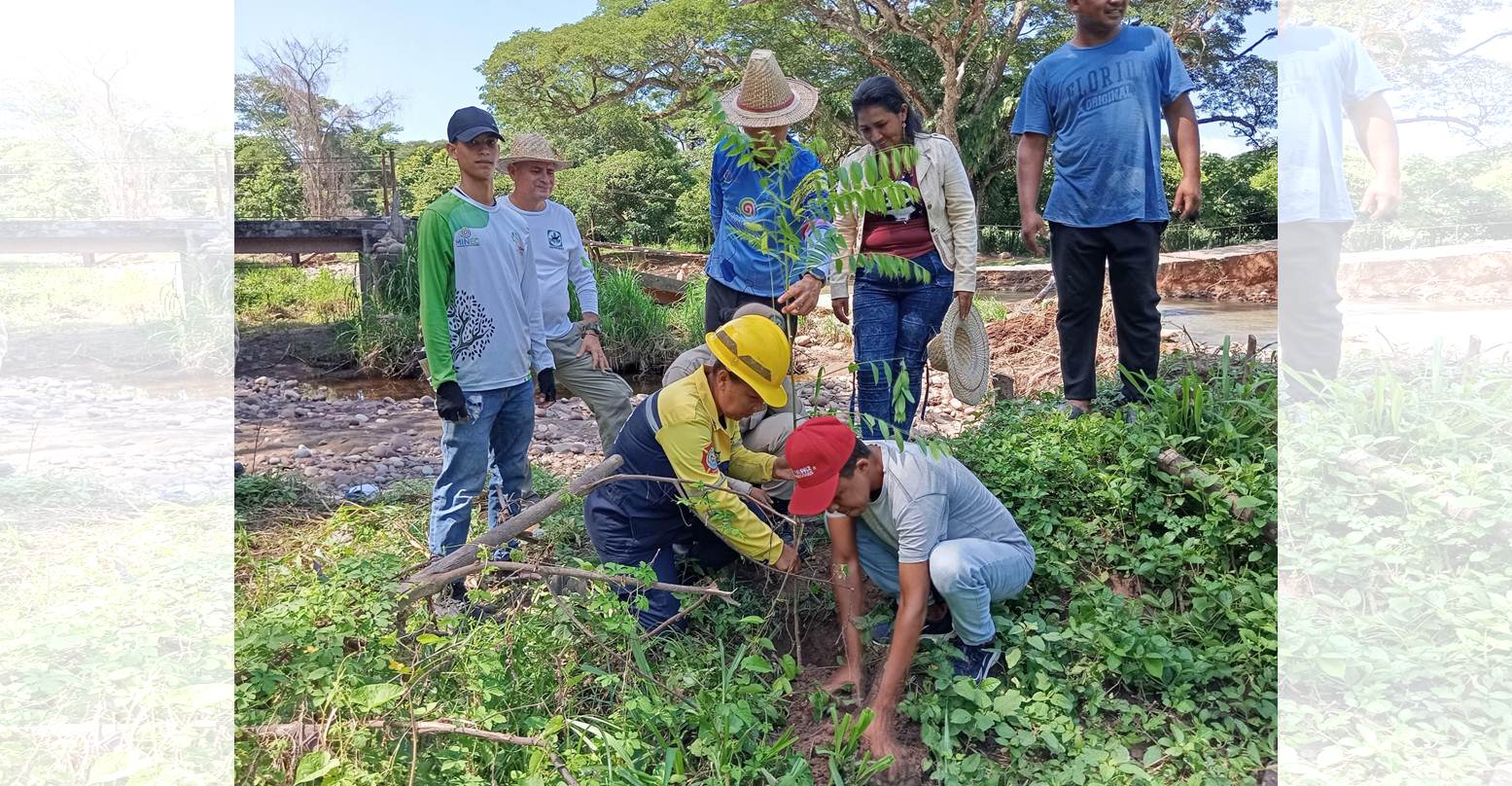 ¡COMPROMISO AMBIENTAL! Inicia jornada de reforestación en la Sierra de ...