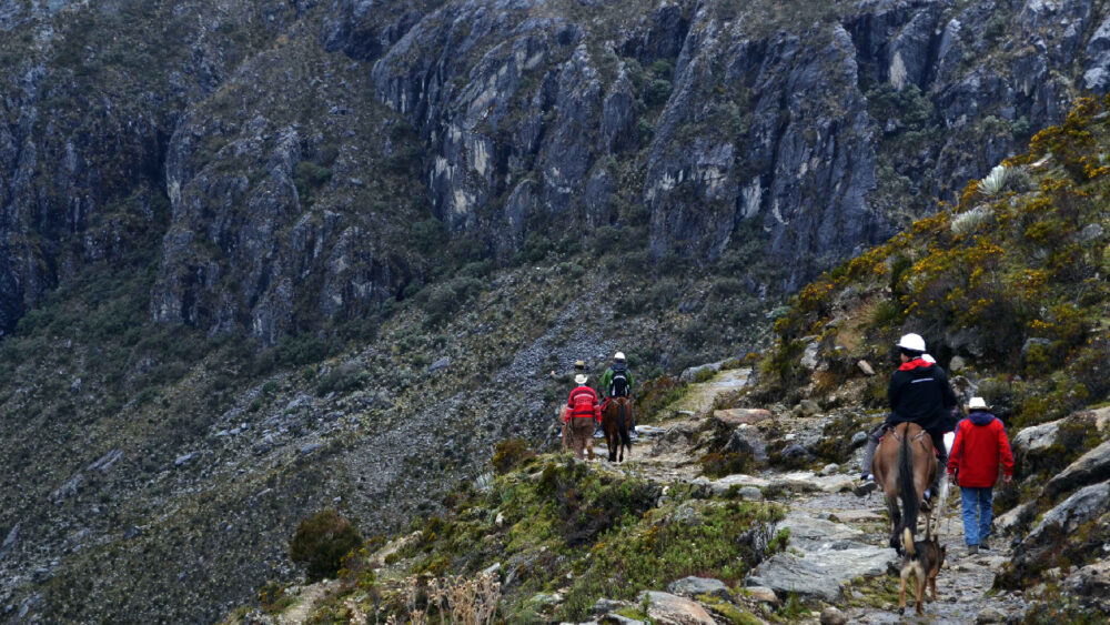 ¡EL PÁRAMO RECIBE TURISTAS! Después de dos meses, los visitantes ...