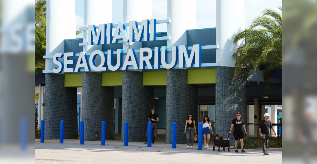 ¡FIN DE UNA ERA DE ENTRETENIMIENTO! El querido y criticado Miami ...
